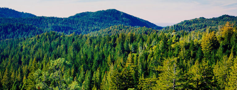 Wilderness Designations on Federal Forests – Federal Forest Resource ...